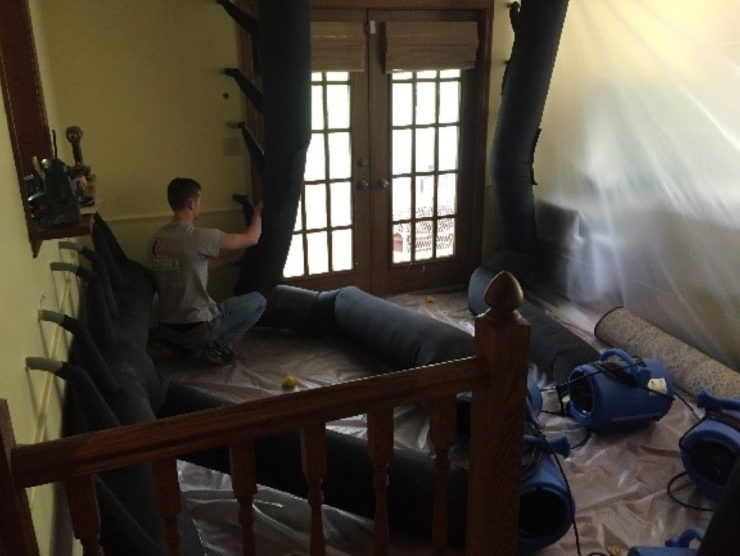 Equipment We Used for Water Damage Restoration | Call Restorex